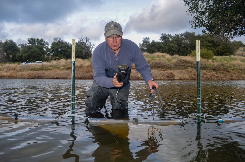 The Return of Red-Legged Frogs to Southern California - Reptiles Magazine