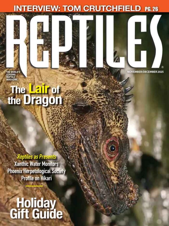 Marine Reptiles Of The World - Reptiles Magazine