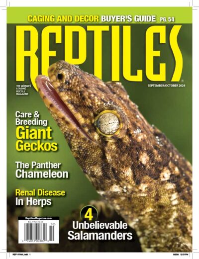 An In-Depth Look At UV Light And Its Proper Use With Reptiles ...