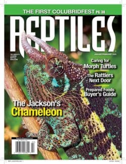 Reptiles Magazine 1101 - Reptiles Magazine