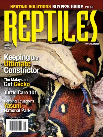 turtles Archives - Reptiles Magazine