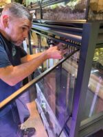 Beginner's Guide To Poison Frog Care - Reptiles Magazine